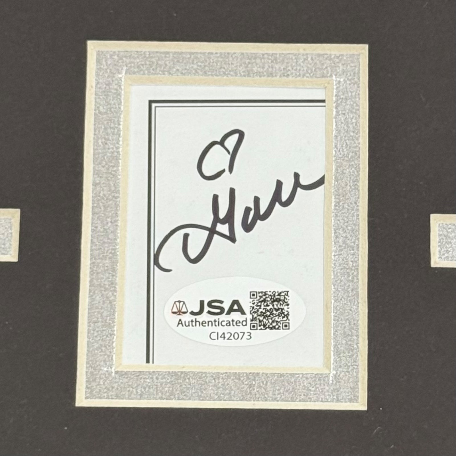 Gabrielle Union Autographed Bad Boys II "Signature Series" Frame - JSA ...